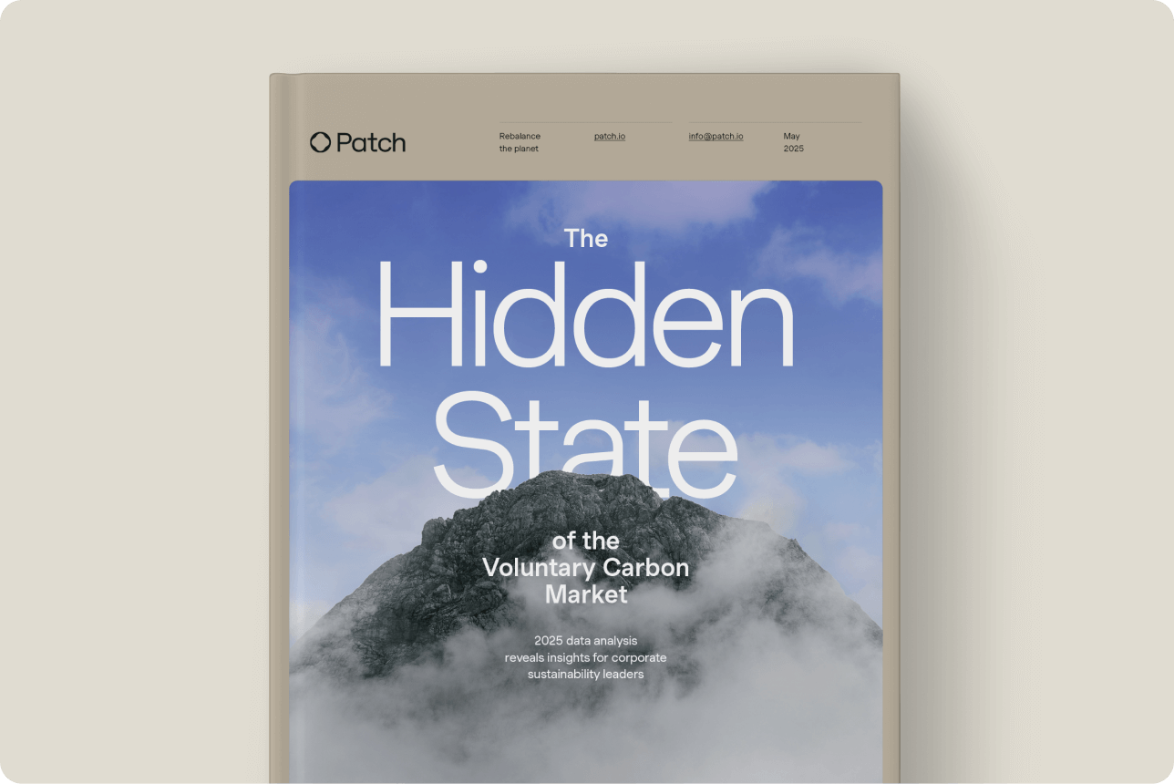 SBTi Draft Corporate Net-Zero Standard 2.0: What's new and why it matters | Patch